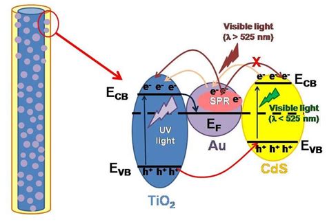 Photocurrent Enhancement Is Not The Result Of The Spr Of Au Download Scientific Diagram