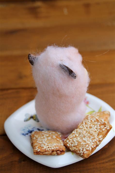 Needle Felt Realistic Hamster With Cookie Felted Mouse Etsy