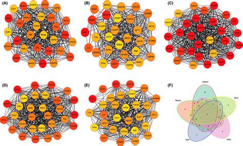 Identification Of Hub Genes Via Multiple Algorithms Ae Screening
