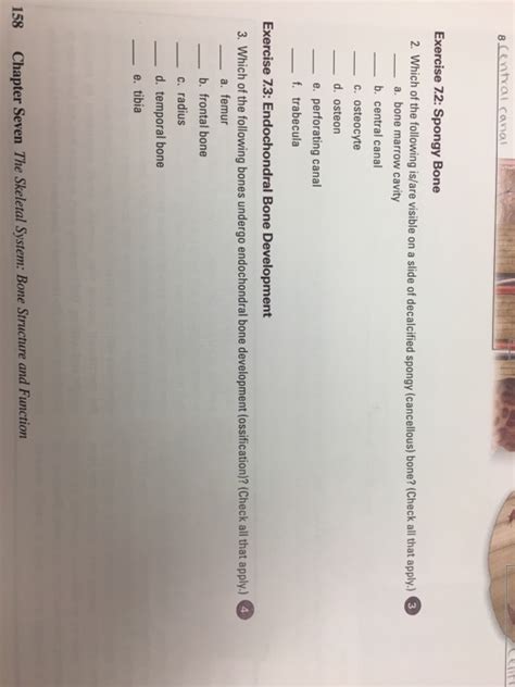 Solved S Central Cana Exercise 72 Spongy Bone 2 Which Of