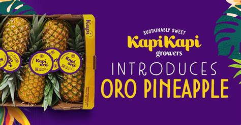 Kapi Kapi Growers Introduces Oro Pineapple Doug Bakker And Sofia Acon
