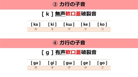 口腔断面図の問題の攻略法【日本語教員試験・日本語教育能力検定試験 音声分野対策】