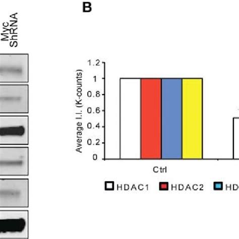 Mtm Affects Class 1 Hdac Expression Levels Download Scientific Diagram