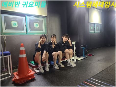 김해체대입시 장유체대입시 시스템체대입시 예비반도 입시반도 공무원도 모두 전국최강 삼계체대입시 율하체대입시 네이버 블로그