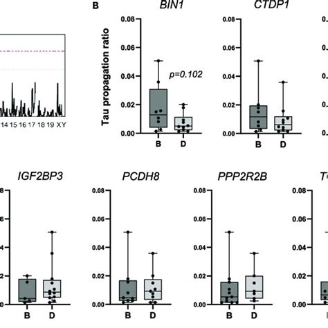 Translating Human Gwas Hits To Test For An Association With Tau