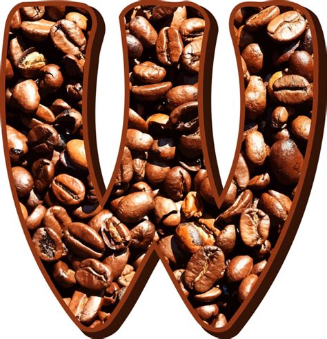 Cocoa Beans PNG Transparent Images