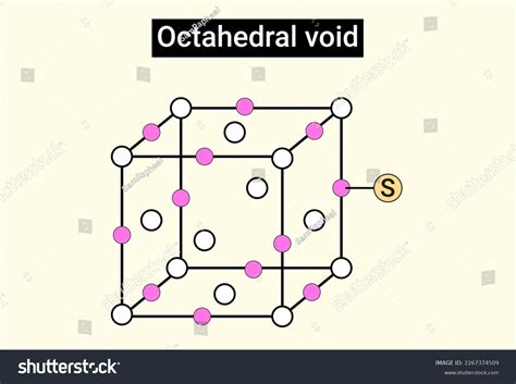Octahedral Voids Unoccupied Empty Spaces Present Stock Vector Royalty
