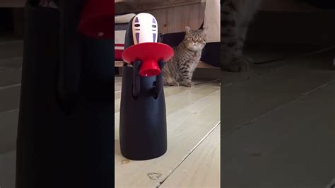 Gato Apavorado YouTube