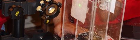 Discoveries Diffraction Symmetries Of C Elegans With Prof Magnes