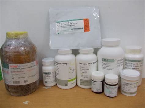 TISSUE CULTURE AND ORCHIDOLOGI MEDIA KULTUR JARINGAN TUMBUHAN SIAP