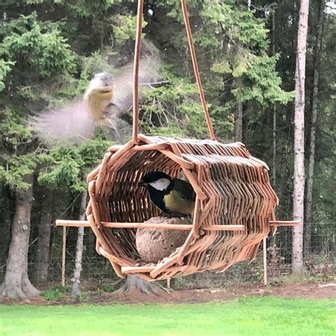 Bird Feeding Station Backyard Birds Sanctuary Bird Feeding Station Bird
