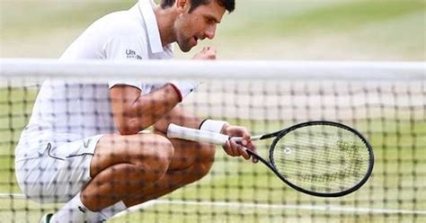 Lý Giải Hành động ăn Cỏ” Của Djokovic Tại Wimbledon