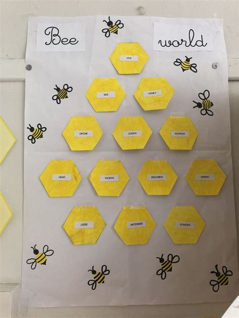 Пин от пользователя Mari Buglio на доске Scuola Primaria