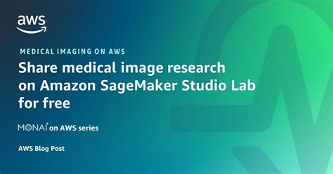 Alex Lemm On Linkedin Sagemaker Monai Itkwidgets