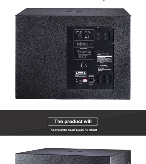 15 Inch Powerful Active Sub Bass 15 Inch Subwoofer With Dsp Module For Ktv Room Buy Bass Power