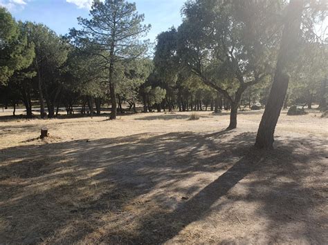 Ayuntamiento de Andújar El Ayuntamiento y la empresa Resurja recogen