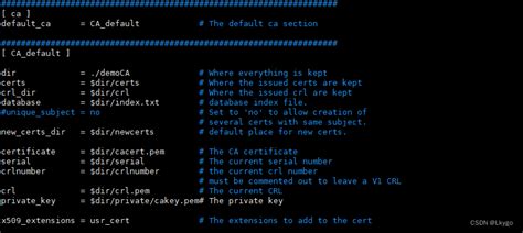 openssl多域名ip证书制作 csdn博客