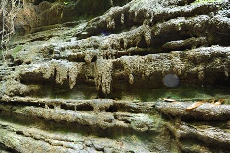 苗栗後龍小旅行 2022 D1010 龍王峽谷 台灣桑耶寺 五龍宮石雕媽祖 國定一級古蹟 鄭崇和墓 健行筆記