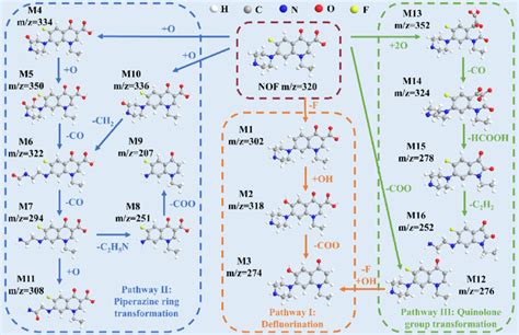 Proposed Nof Degradation Pathways In The E Pms Mcac Process Download