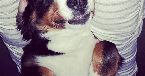 Russell Album On Imgur