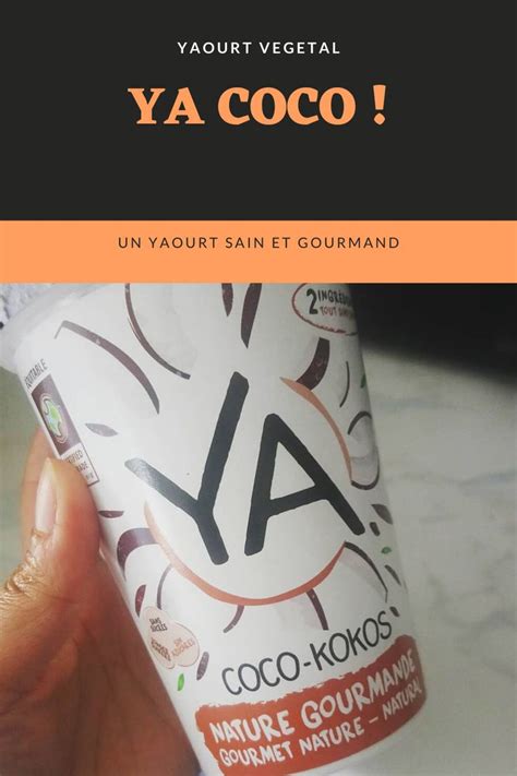 Yaourt végétal au coco Yaourt sain Yaourt végétal Yaourt