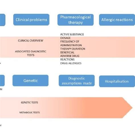 Patients Data And Processing Flow For Earlier Diagnose Ehr Download Scientific Diagram