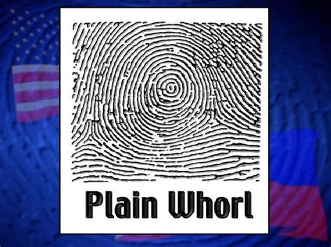 Whorl Patterns