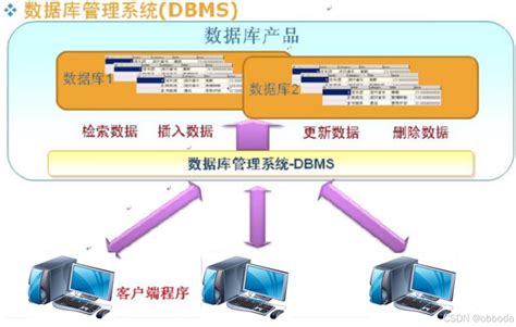 Mysql数据库 理论基础mysql数据库理念介绍 Csdn博客