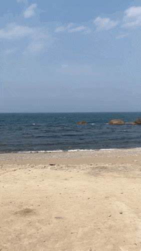 3 첫 바다뷰 캠핑 경북 포항 노지 캠핑하기 좋은 이가리닻 간이해변 이가리닻전망대 네이버 블로그
