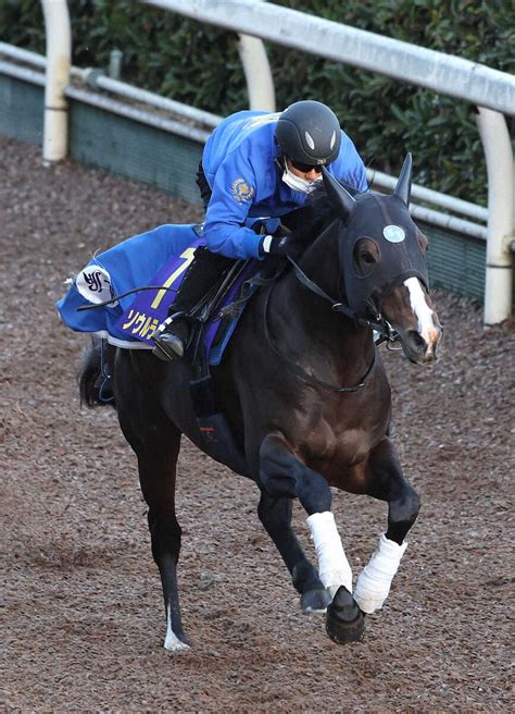 坂路を単走で追い切るソウルラッシュ ― スポニチ Sponichi Annex ギャンブル