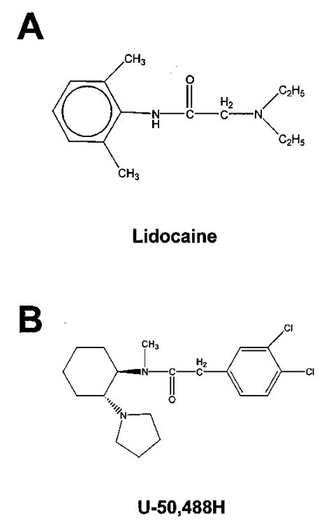A The Molecular Structure Of Lidocaine 2 Download Scientific