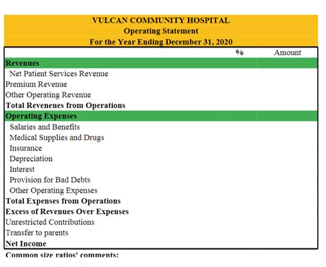 Solved Vulcan Community Hospital Balance Sheet And Operation Chegg
