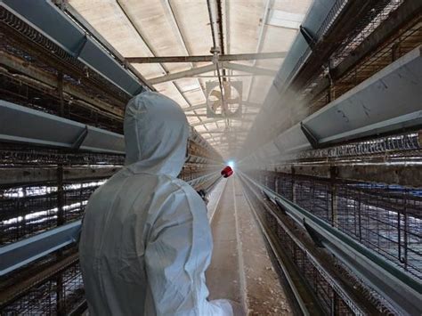 台南出現 H5n5 高病原性禽流感 8624 隻蛋雞遭撲殺 Ettoday地方新聞 Ettoday新聞雲