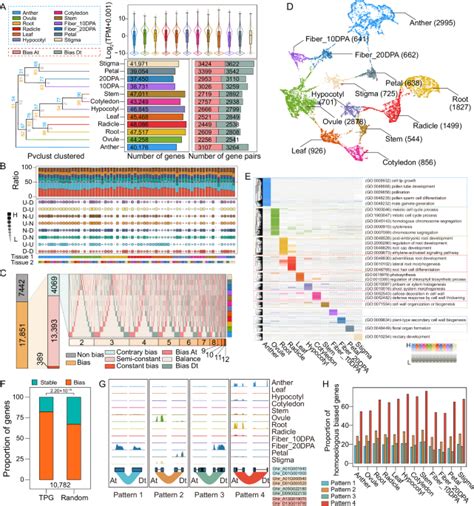 Epigenomic And 3d Genomic Mapping Reveals Developmental Dynamics And