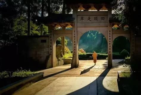 苦行 佛法讲实证，看苦行僧降伏“红蛇大仙” 佛教故事 智慧禅文化