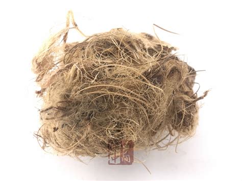 大腹皮的功效与作用 用法用量 图片 故事 乡间郎中