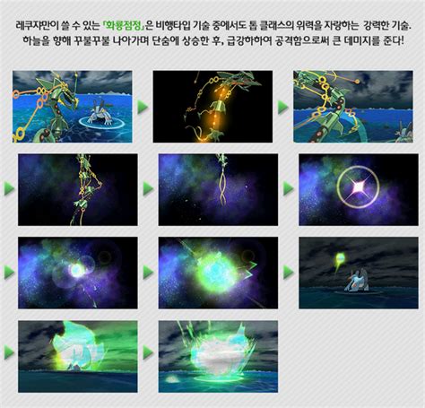 화룡점정 엔하위키