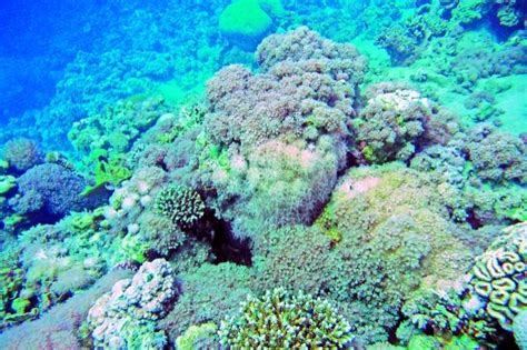 Susanne Eickhoff Personensuche Kontakt Bilder Profile And Mehr