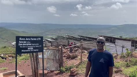 Aderemi Banjoko On Linkedin Goatfarming Goats Livestock