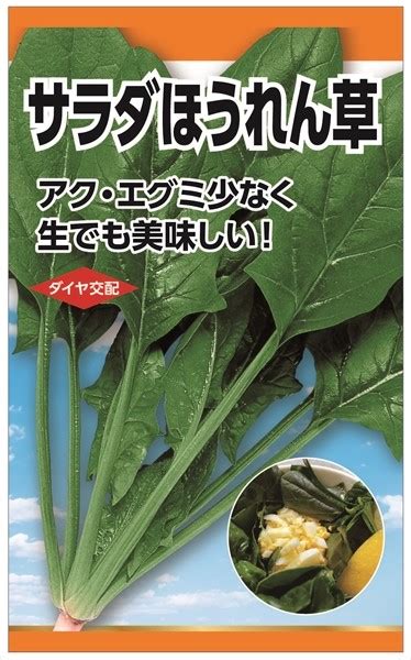 サラダ法蓮草 ニチノウのタネ オンラインショップ