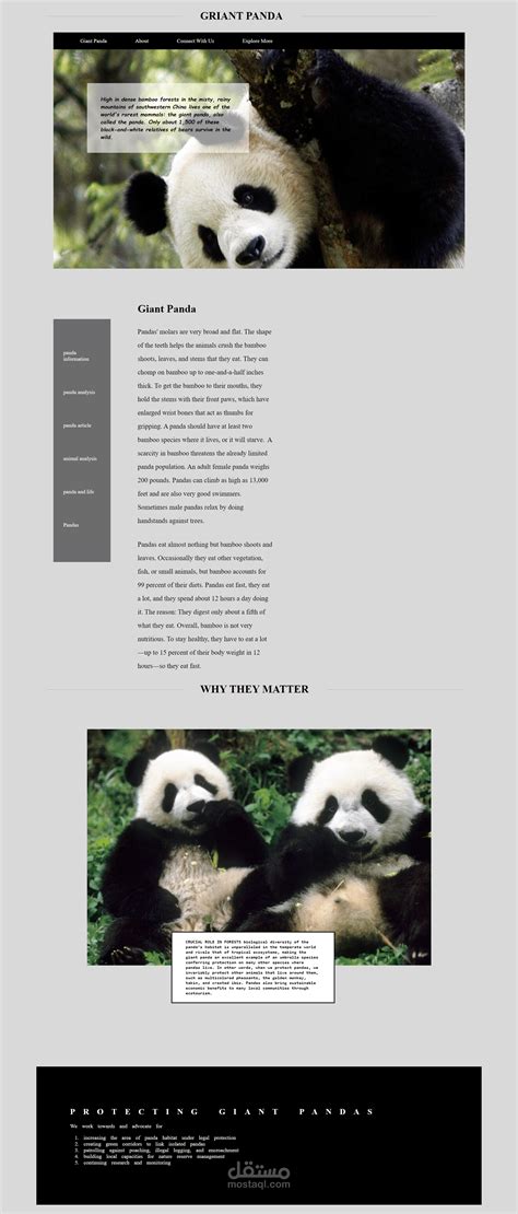 front end css js html مستقل