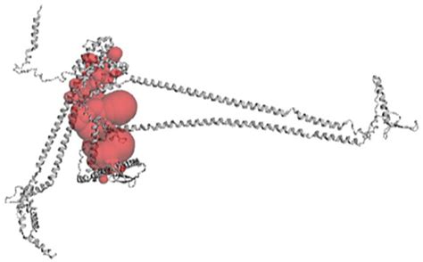 In Silico Structure Prediction Molecular Docking And Dynamic