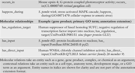 Most Commonly Used Relationships For Annotation Extension Statements