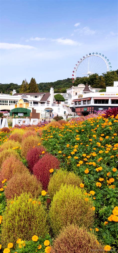 가을 감성🍂 에버랜드 가을 배경화면 콜렉션🎡