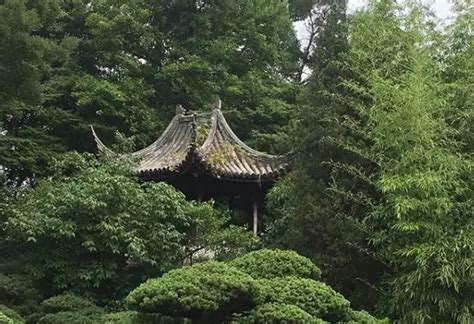 慢苏州 评弹社里的曲儿和茶 这才是吴侬软语的最佳佐料 知乎