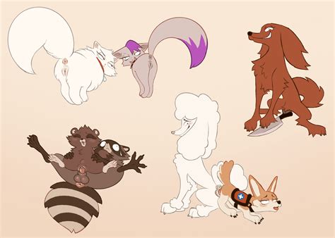 Post Elsa Honey HouseBroken Kitkat Labbit Raccoon Ruby Small Fun Raccoon Tabitha