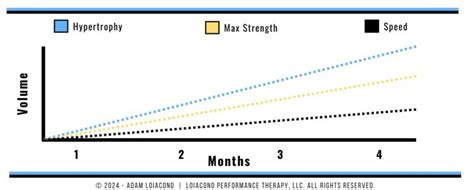 Block Periodization From Rehab To Performance Adam Loiacono