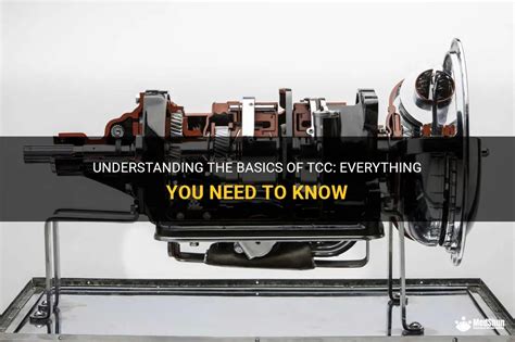 Understanding The Basics Of Tcc: Everything You Need To Know | MedShun