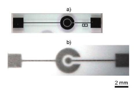 A Thin Film Sensor B Thick Film Sensor Download Scientific Diagram