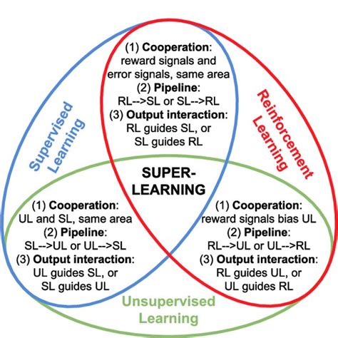 Pdf The Super Learning Hypothesis Integrating Learning Processes
